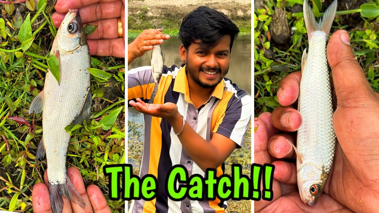 Caught Large Silver Body Fish from river😜 | Fishing in Assam River 🎣 ...