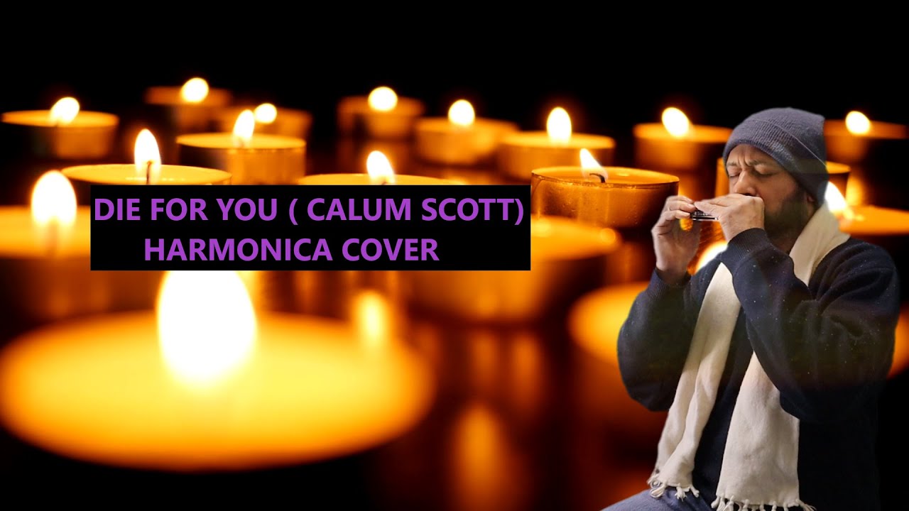 Calum Scott - Die For You (Harmonica Cover) @CalumScottOfficial # ...