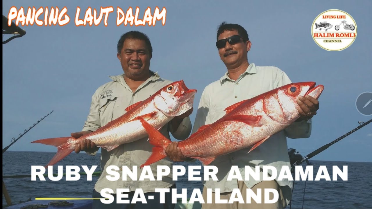 RUBY SNAPPER / DEEP SEA FISHING ANDAMAN SEA THAILAND - YouTube
