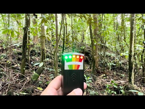 Investigating a Samoan pyramid mound with an EMF meter #pyramid # ...