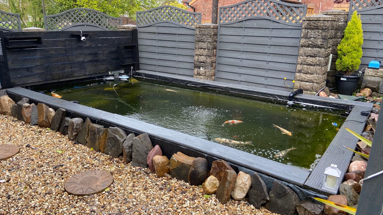 Koi pond nitrite is high, what do i do next - YouTube