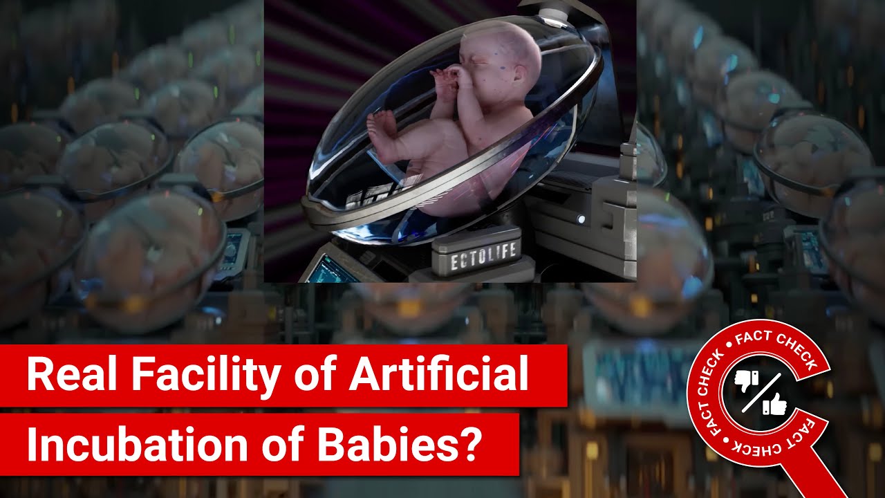 FACT CHECK: Viral Video Shows Real Facility of Artificial Incubation of Babies? - YouTube