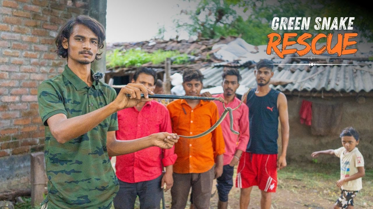 7 दिन से सांप घर में था 😱 | MULTIPLE RESCUES PART 11 - YouTube