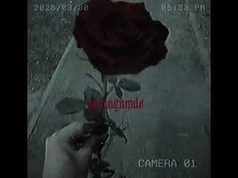 Short olmuyo amin oglu