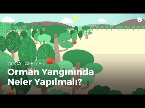 Dogal aftler - Orman yangınında neler yapılmalı?