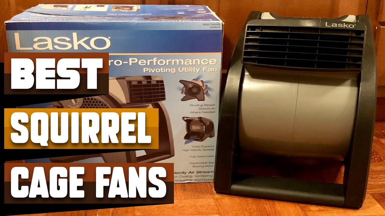 Best Squirrel Cage Fans In 2024 - Top 10 Squirrel Cage Fans Review ...