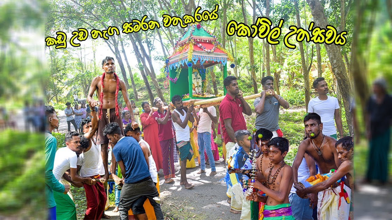 තෛපොංගල් දා කෝවිලේ උත්සවය පාත්රාගල වත්ත කුරුණෑගල Youtube