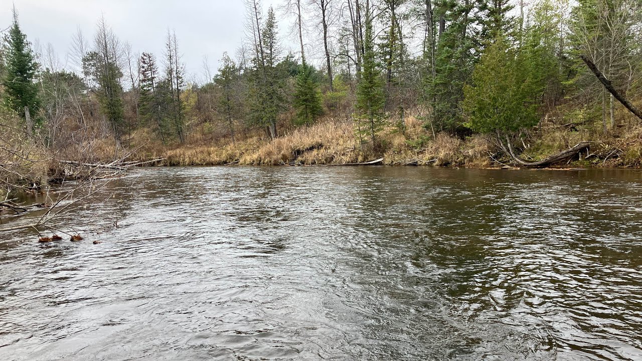 Fall River Fishing in Michigan - Brown Trout, Steelhead, Rainbow Trout ...