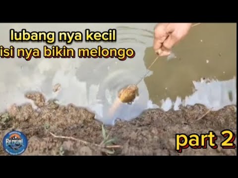 lubangnya kecil isinya bikin melongo⁉️semua orang bersorak ⁉️ - YouTube