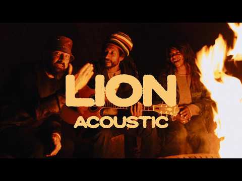 Gentleman - Lion (Live Acoustic Performance)