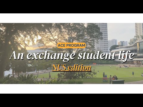 |A Student in NUS| Singapore VS Japan (Exchange life)