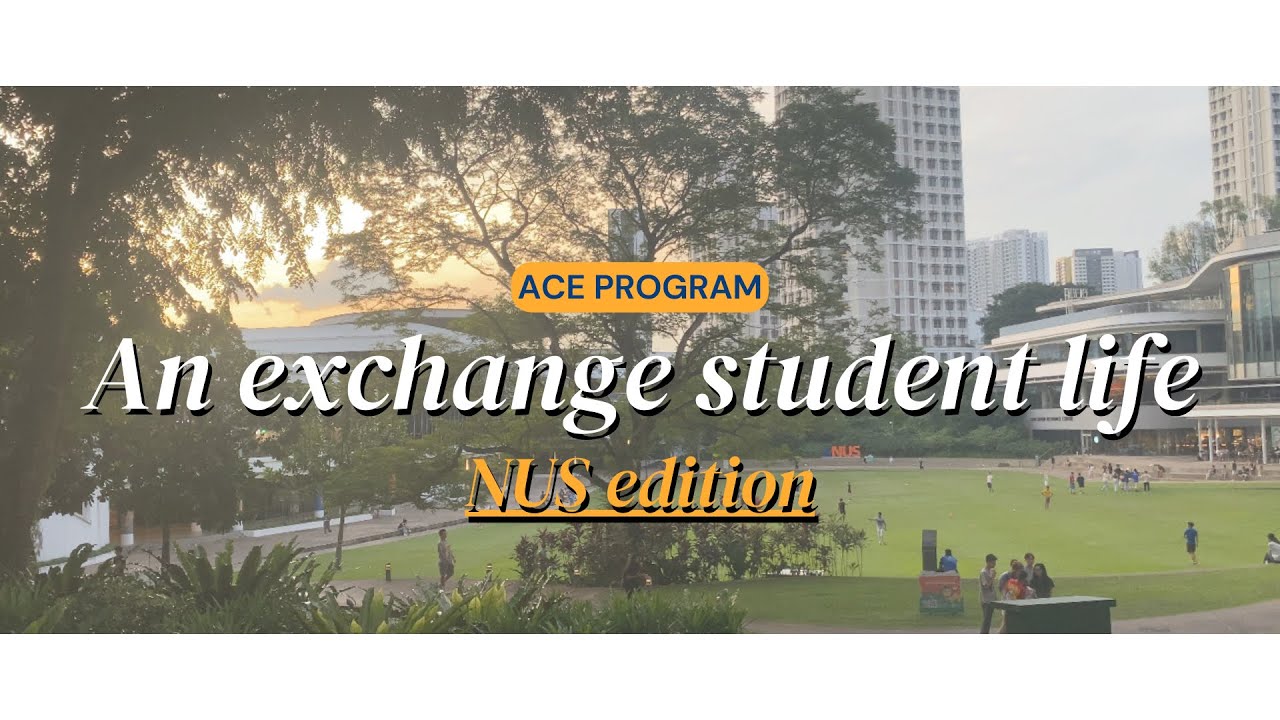 |A Student in NUS| Singapore VS Japan (Exchange life) - YouTube