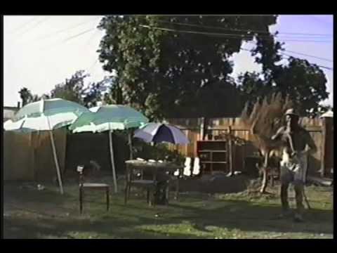 Mac Tonight performed by Larry Covin - YouTube