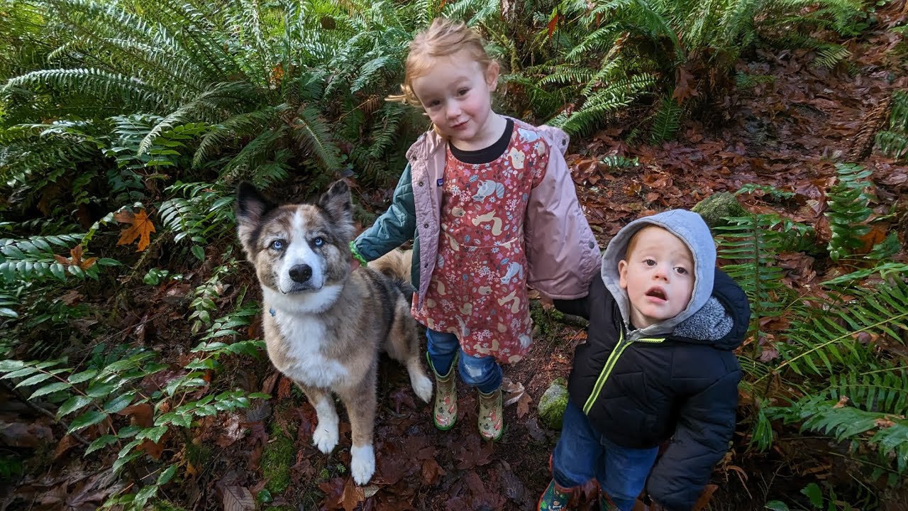 Mid-December Adventure in the Buddy Boo Forest - YouTube