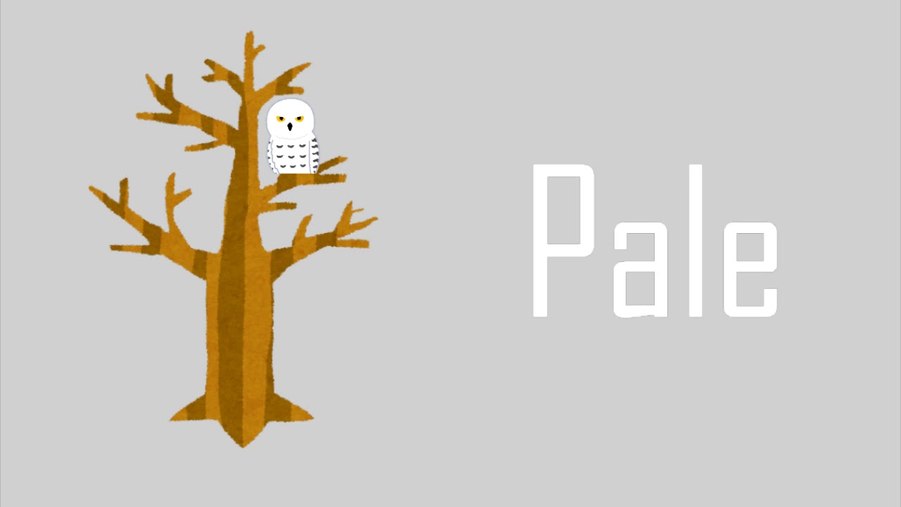 Pale Mimi 歪 Youtube