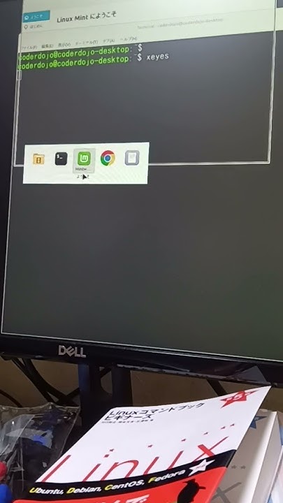 xeyesコマンドで、なぞの目を表示〜リナックスコマンドを叩く〜 #coderdojo #command #linuxcommandlinetutorial - YouTube