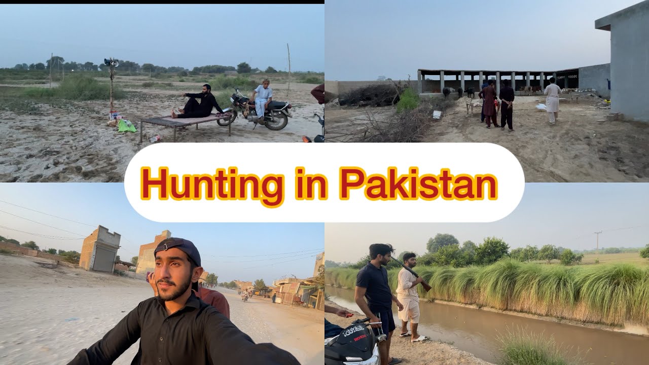 Hunting in Pakistan | dayout with friends | machi goth - YouTube
