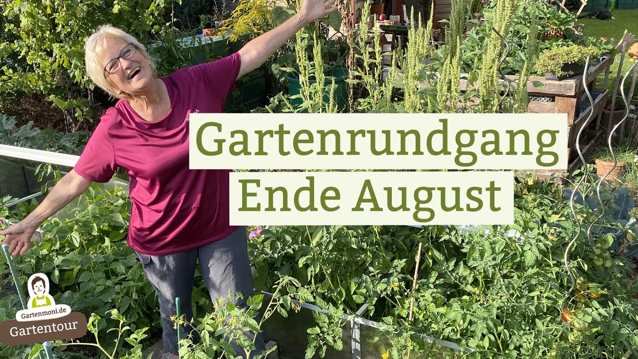 So siehts Ende August im Garten aus - Blumen- und Gemüsebeete ...