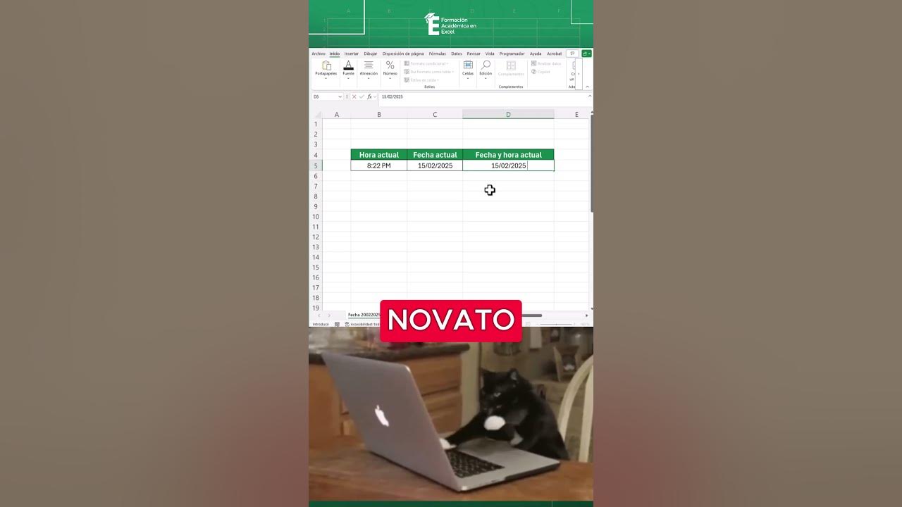 Inserta fechas y horas actuales con un solo clic en Excel 🧐 #excel #exceltips #exceltutorial ...