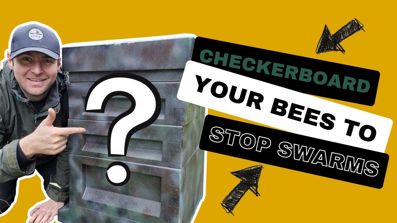 How To Stop Bees Swarming With Checkerboarding - Swarm Control ...
