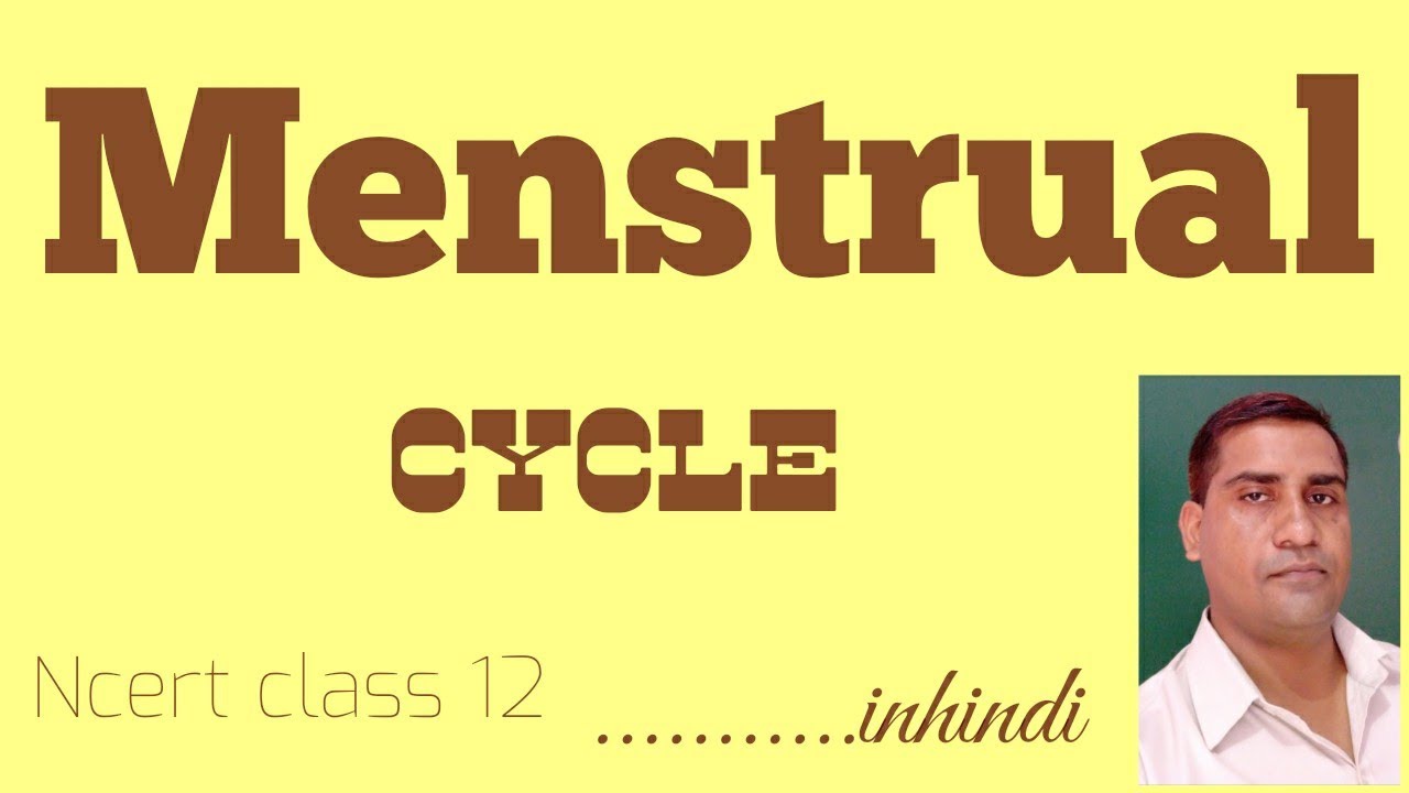 Menstrual cycle, menstrual cycle for ncert class 12 - YouTube