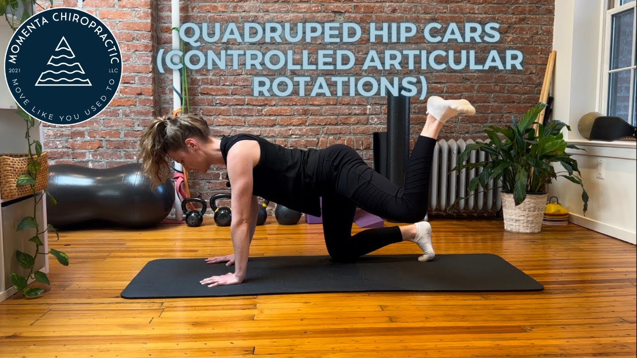 Quadruped Hip CARs (Controlled Articular Rotations) - YouTube