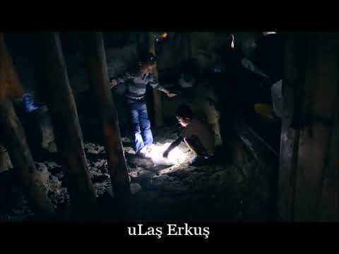 Dilem Loy Loy  kürtçe uzun hava 2019