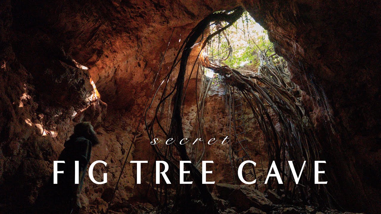 Must See In Exmouth - Fig Tree Cave - YouTube