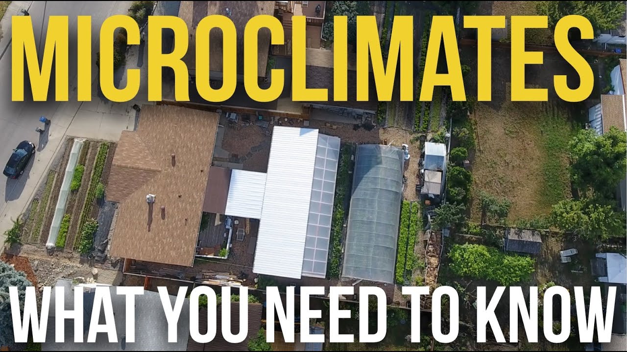 IN PRACTICE - Microclimates - What you need to know - YouTube