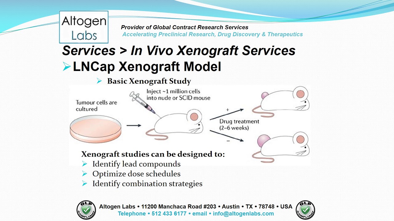 Altogen Labs LNCap Xenograft Service Prostate Cancer - YouTube