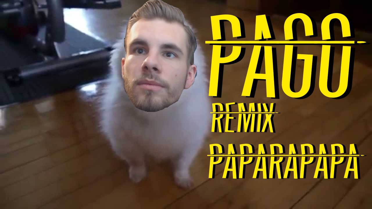GABE THE DOG - PAGO REMIX PA PA RA PA PA! - YouTube