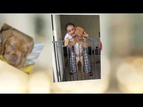 Lola pic video - YouTube