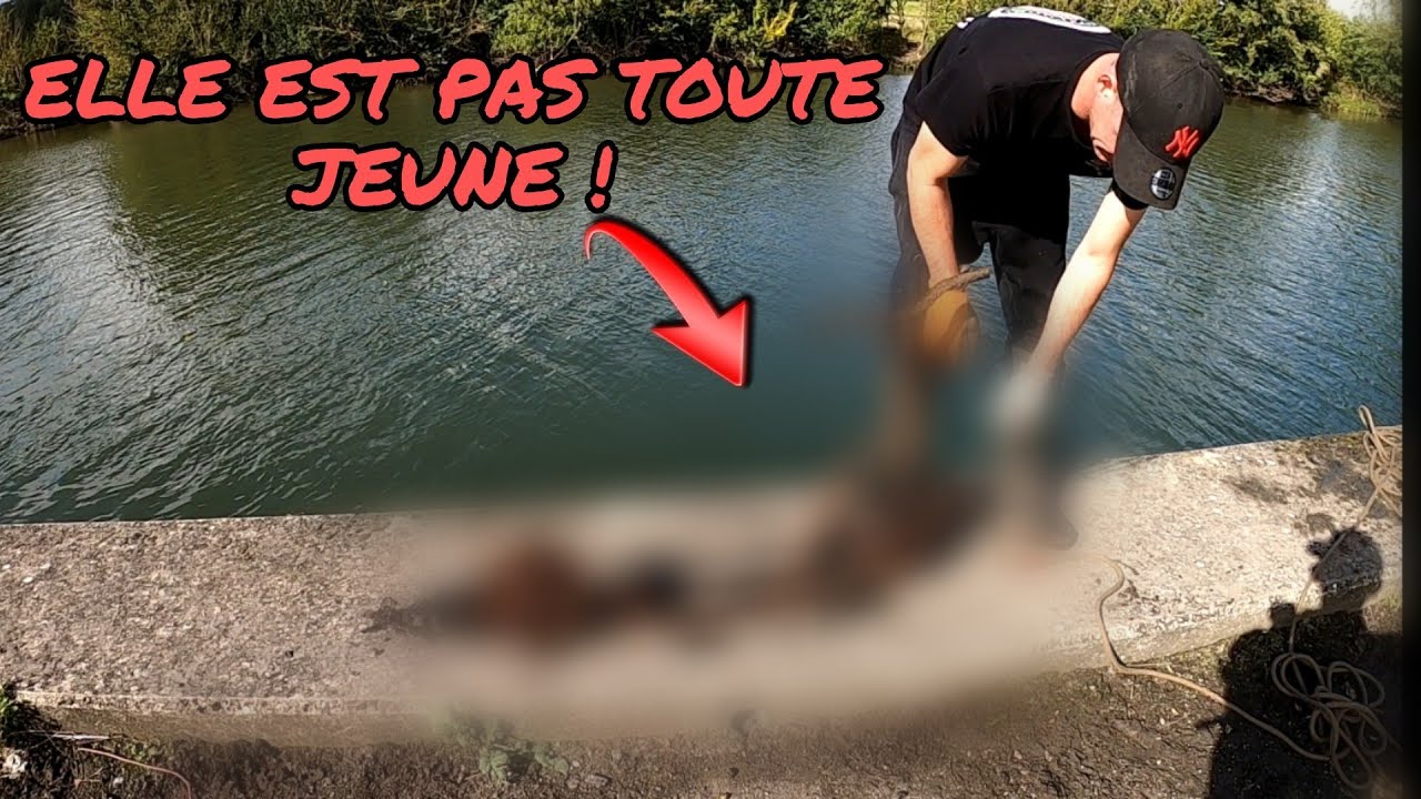 MATTHIEU PÊCHE UN OBJET INATTENDU ! PÊCHE À L'AIMANT. - YouTube
