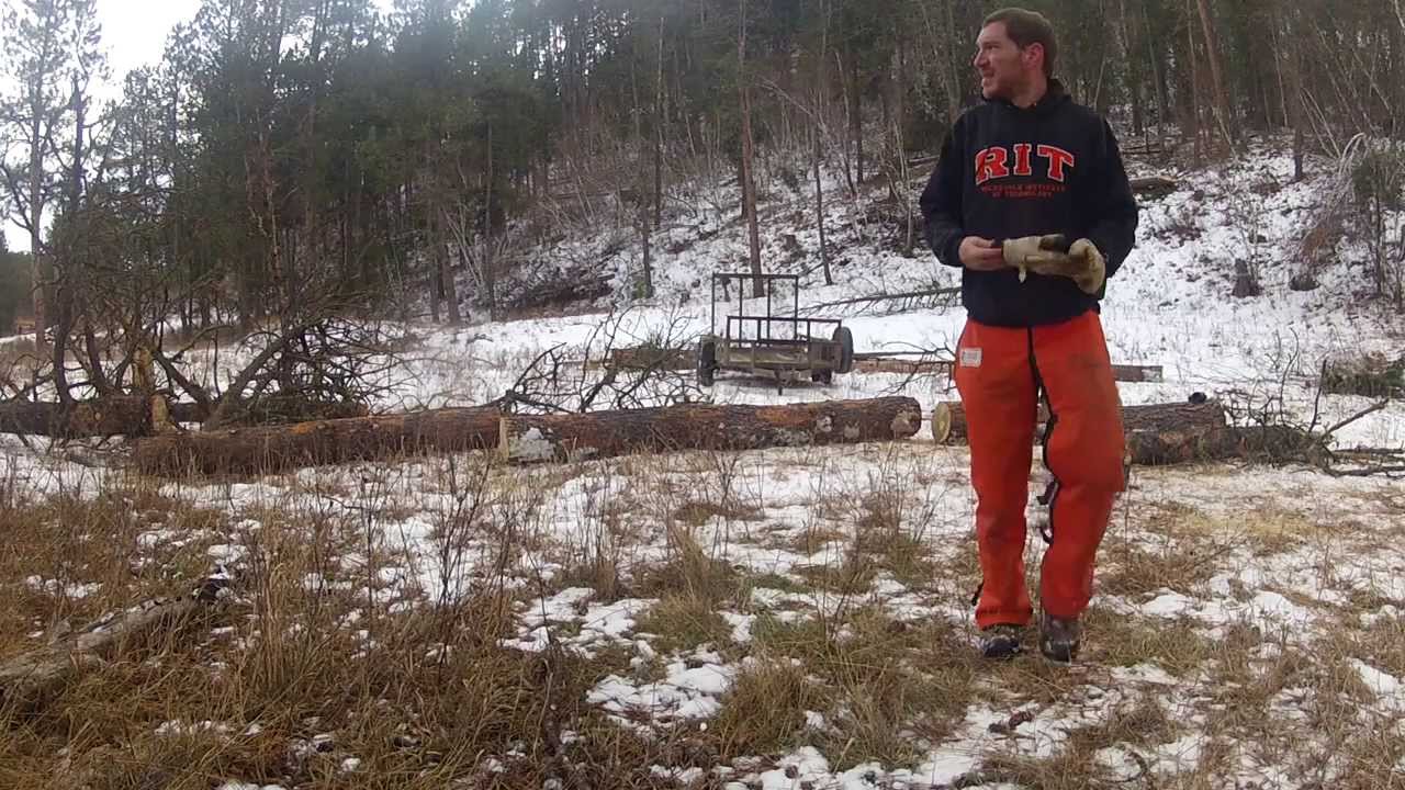 Bucking logs for the mill - YouTube