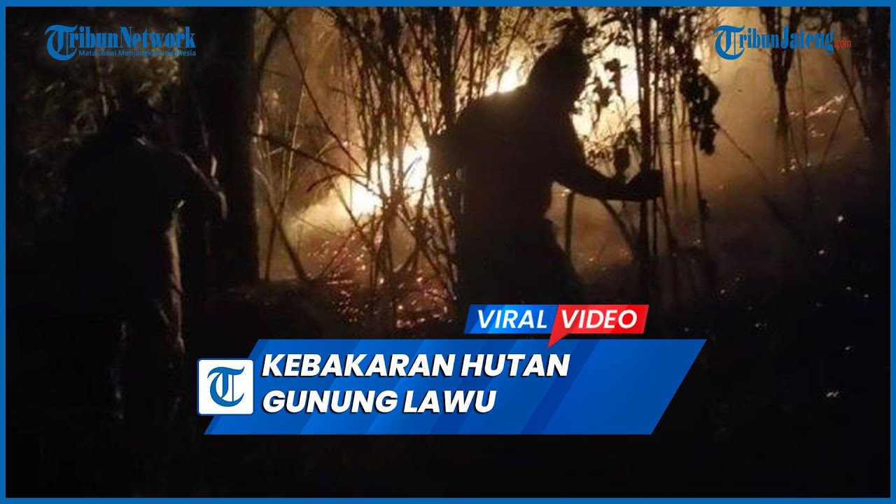 Kebakaran Hutan Gunung Lawu Karanganyar Sudah 6 Jam Youtube
