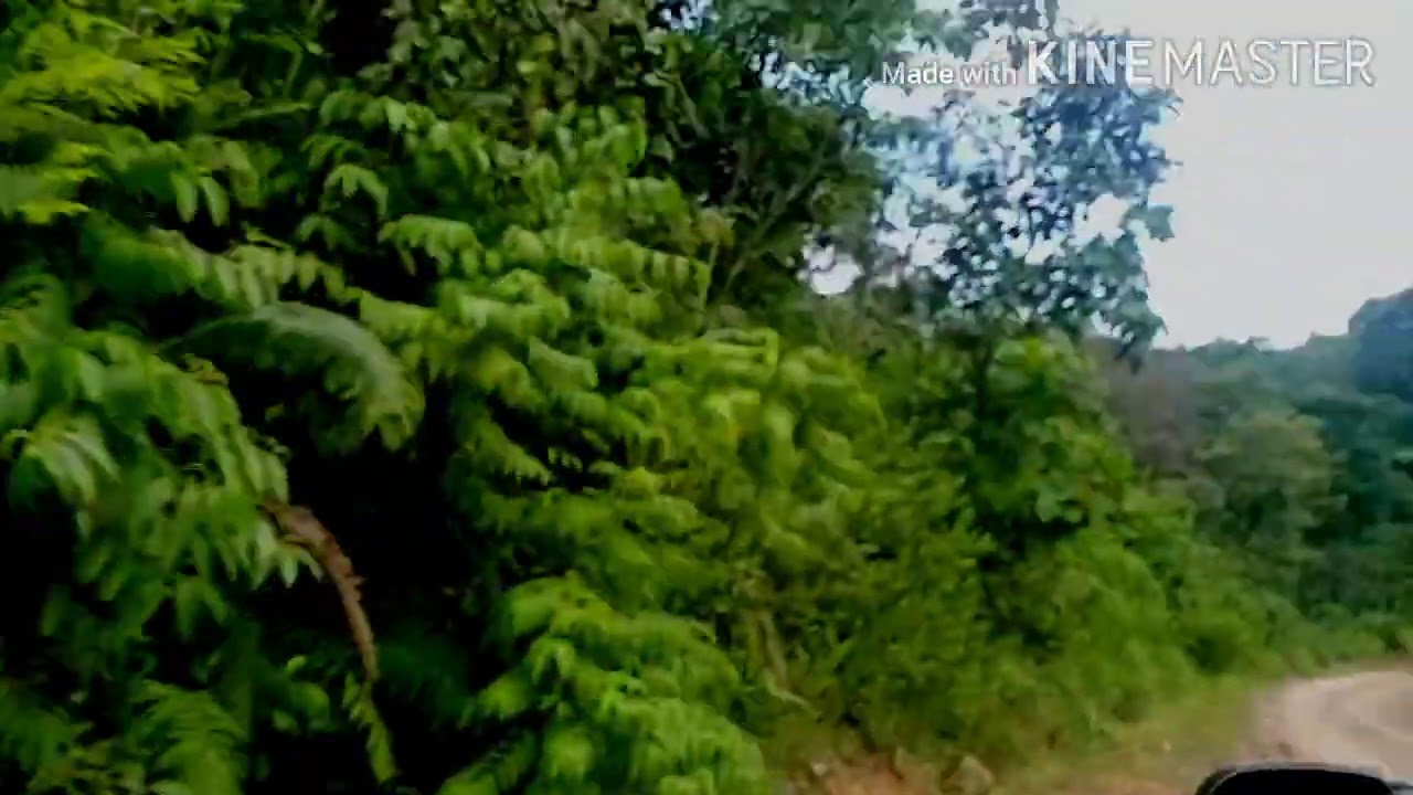 Gunung liang#Kintap berdebu - YouTube