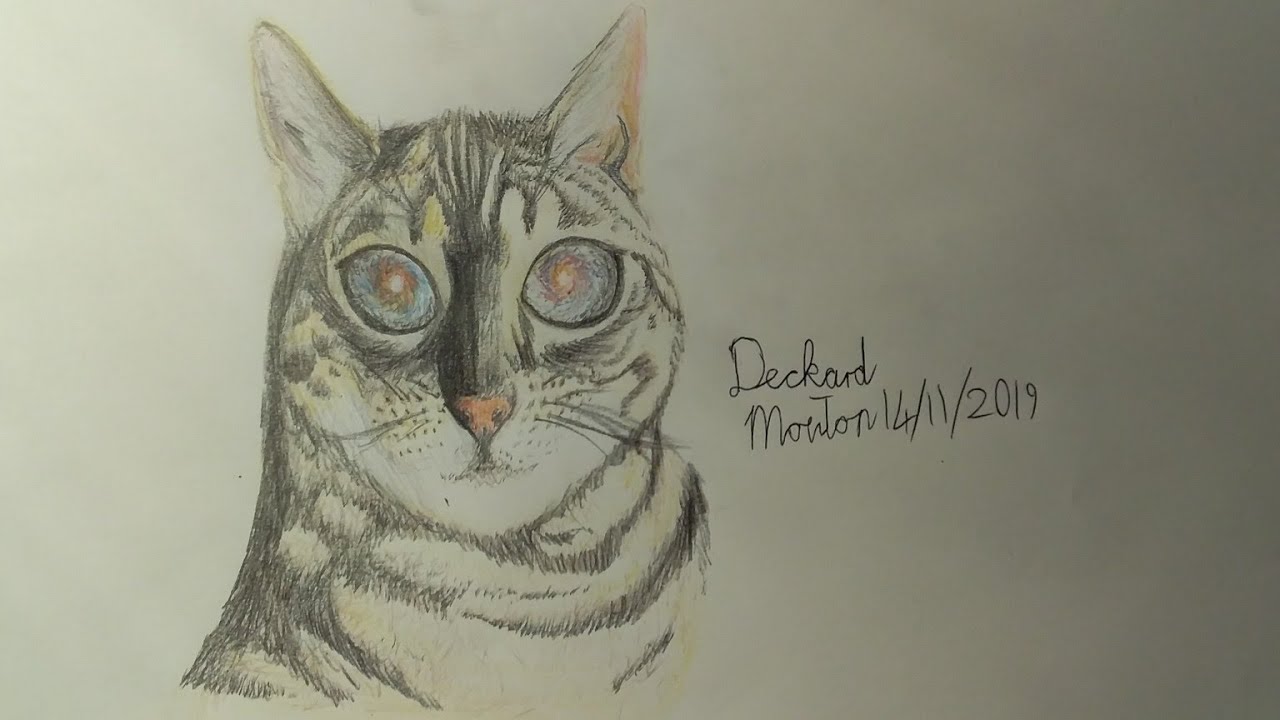 Drawing a Cat with Galaxy eyes - YouTube