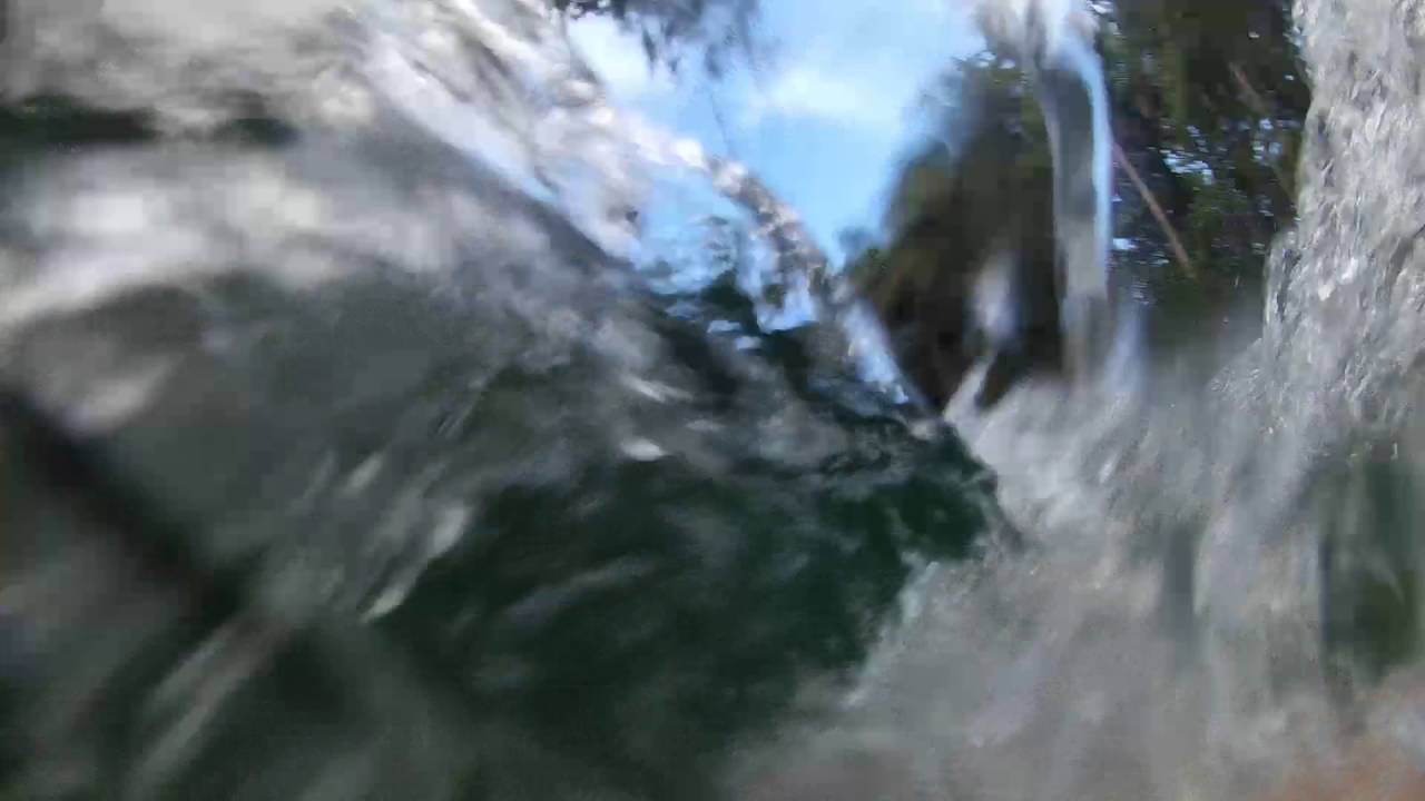 Blue springs under water video....alligator gar fish - YouTube