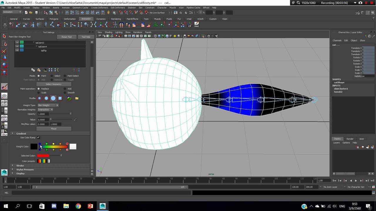 [MAYA] Rigging: cat tail part1 - YouTube