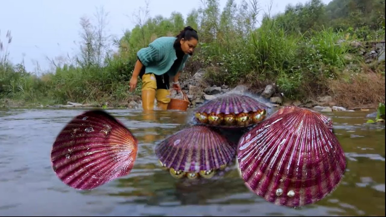 The purple shells are covered with golden pearls, it's so strange! Is ...