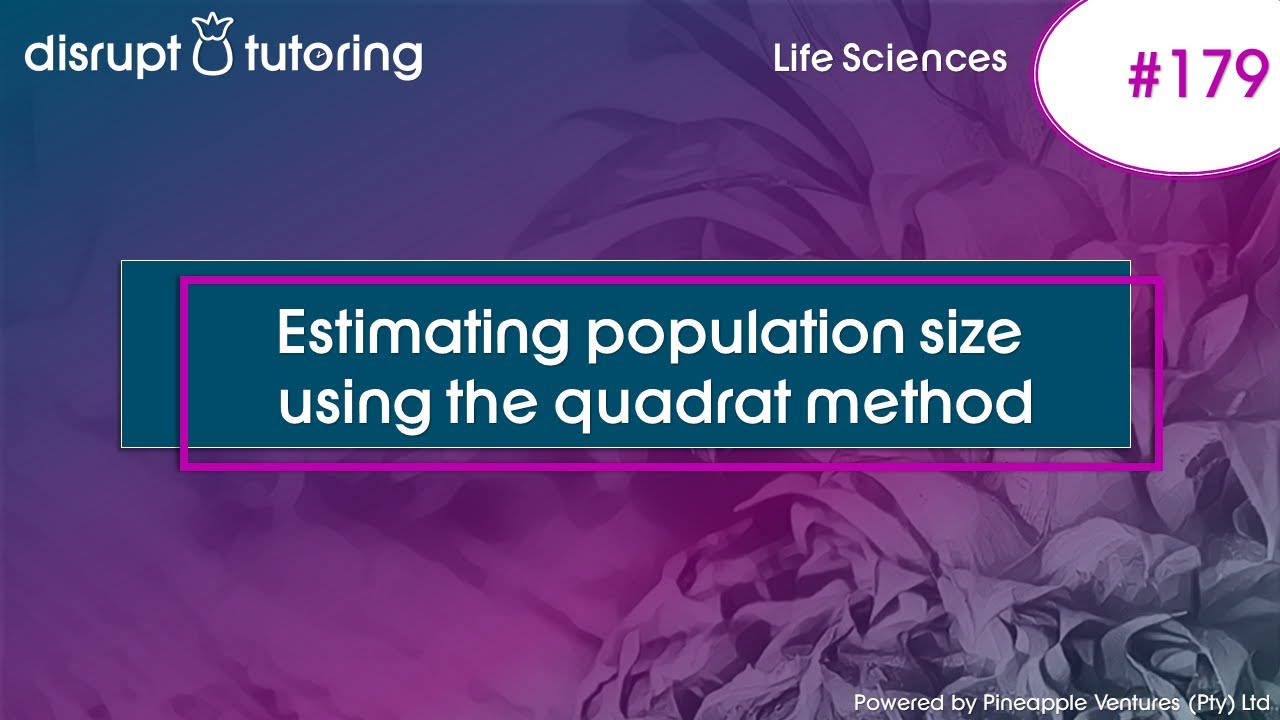 179 Estimating Population Size Using The Quadrat Method YouTube 179-estimating-population-size-using-the-quadrat-method-youtube