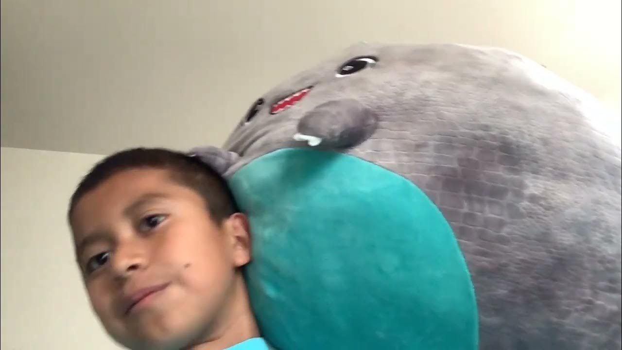 I Bought The Worlds Most Biggest Squish Mellow YouTube i-bought-the-worlds-most-biggest-squish-mellow-youtube