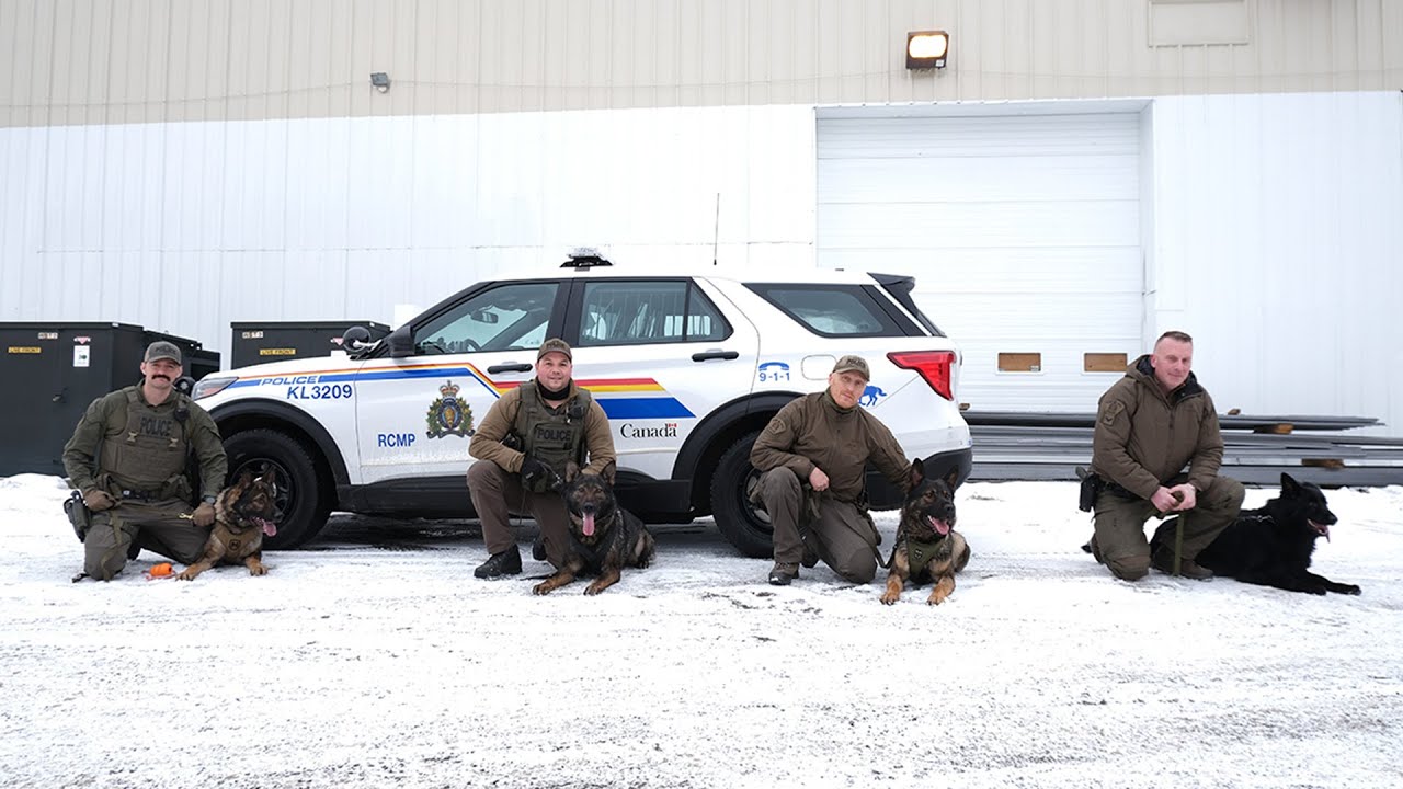 Every dog has its day with the Kelowna RCMP - YouTube