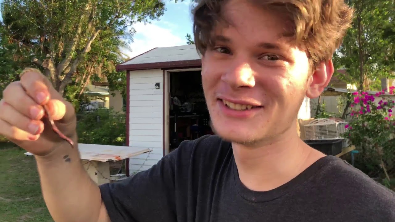 Strange boy eats worm 🐛 - YouTube