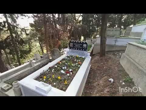 ÖMER DÖNMEZ KABRİ HEKİMBAŞI MEZARLIĞI