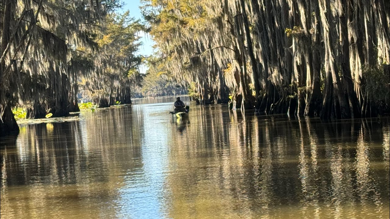 Caddo Lake BM Kayak Series - YouTube