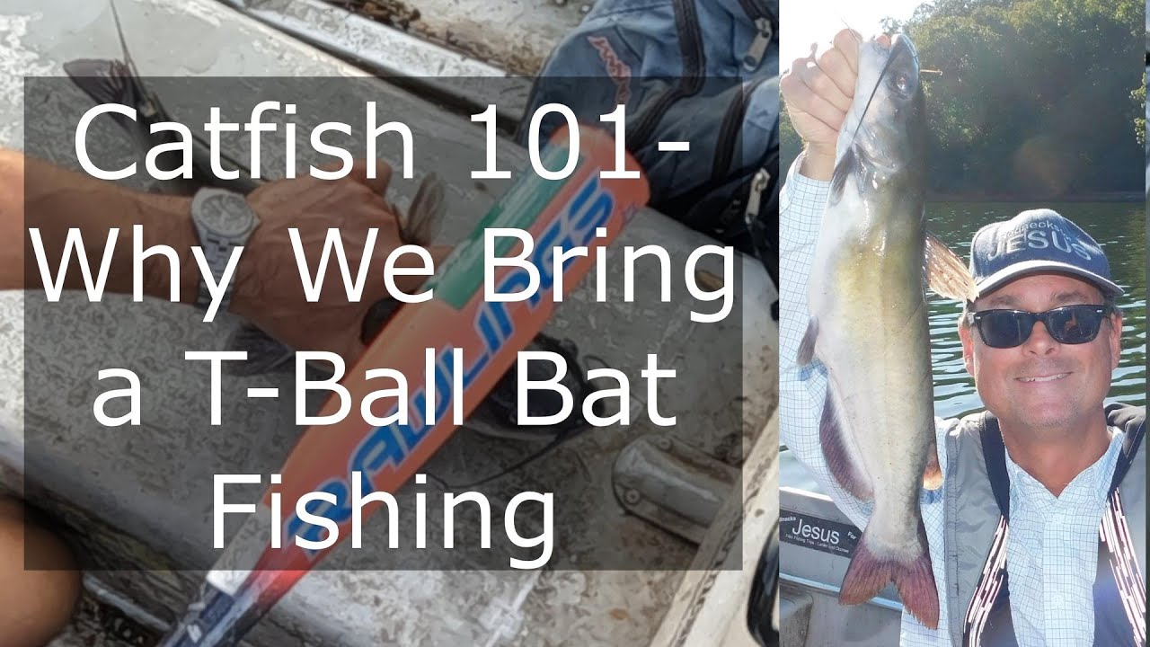 Catfish 101- Why We Bring a T Ball Bat Fishing - YouTube
