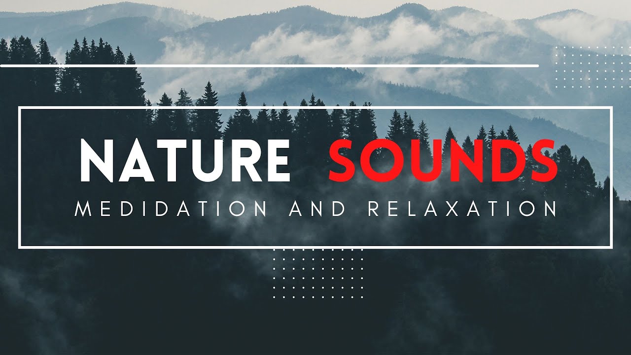 Unbelievable Benefits of Listening to Nature Sounds: Get Ready to ...