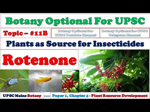 Rotenone: Plants As Sources for Insecticides: Natural Insecticidal ...