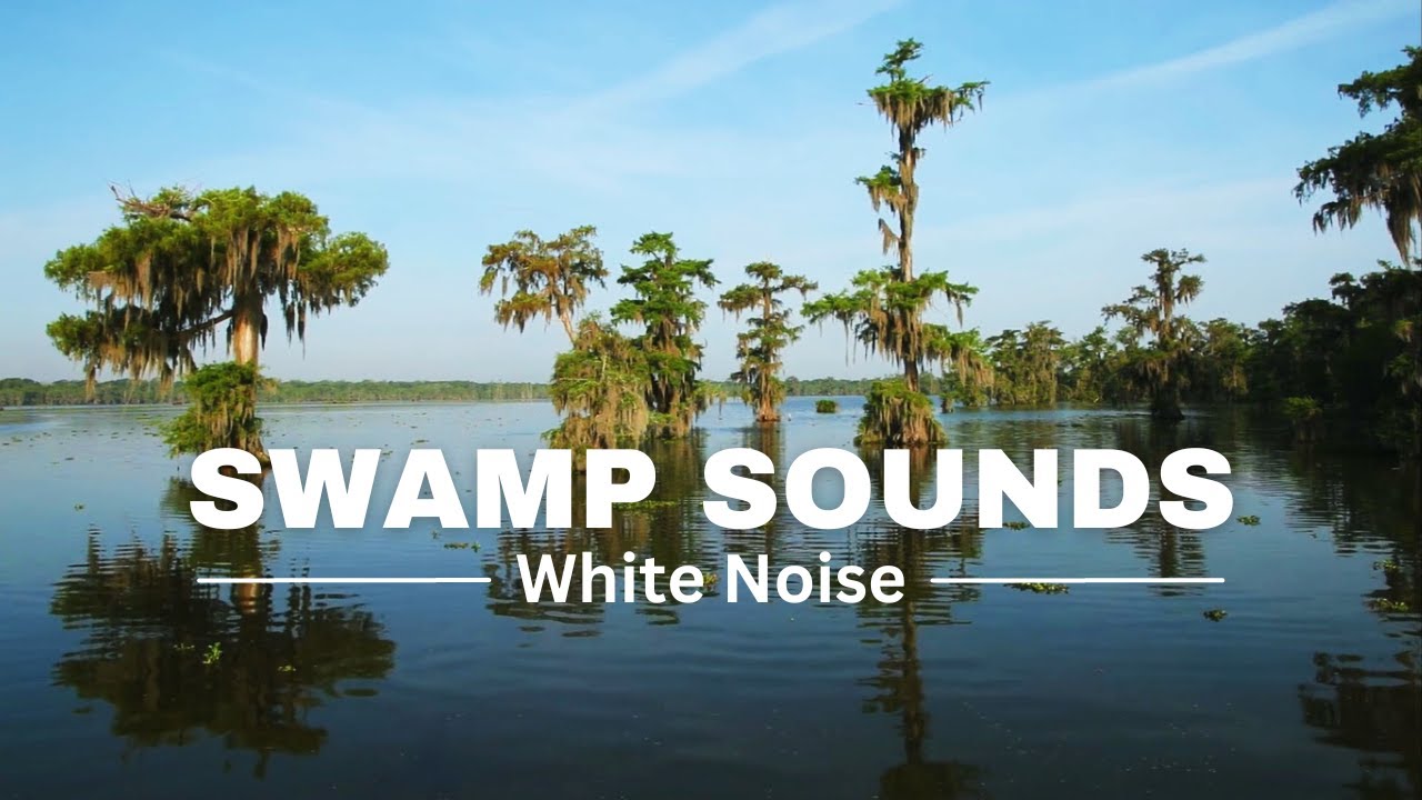 Relaxing Swamp Sounds White noise, Ambience for Sleep, Relaxation ...